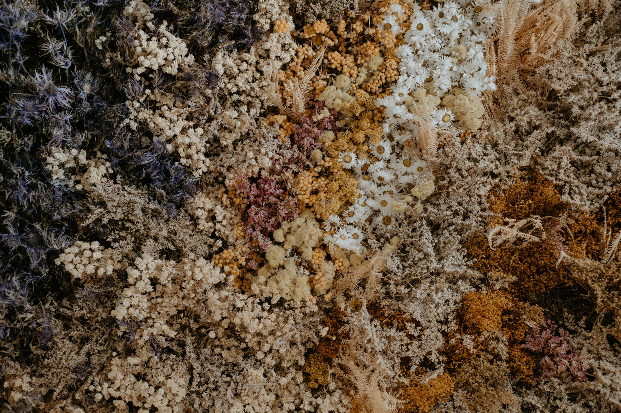 Gloam Commercial Installation and Design | Isle of Raasay Dried Floral ...